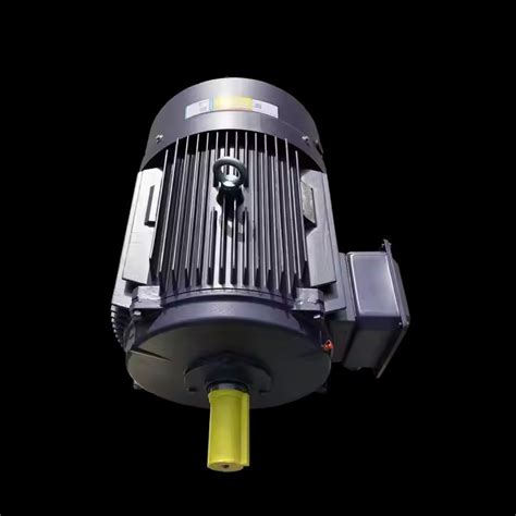 China Customized Three Phase Asynchronous Induction Motors