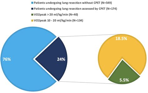 Patients Undergoing Lung Resection For Pulmonary Nodules During The Download Scientific Diagram