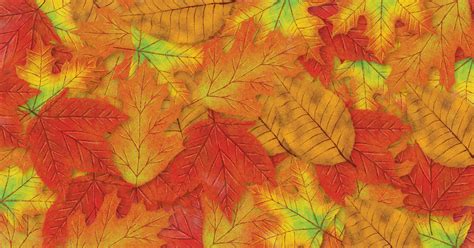 Leaf Guide Motif