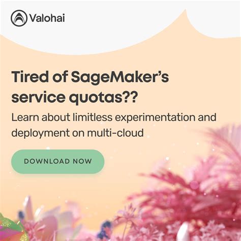 An Alternative For Sagemaker The Valohai Mlops Platform Valohai