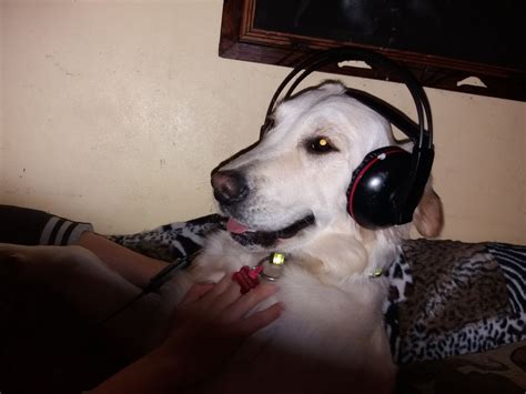 Zelda Say Shut Up And Listen Blank Template Imgflip