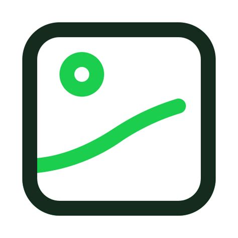 Image Generic Outline Color Icon