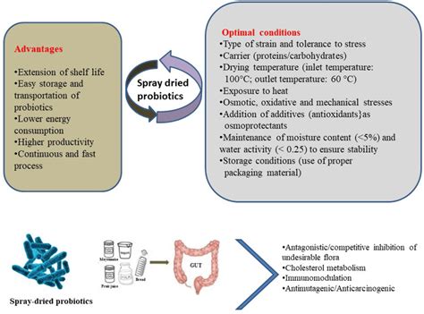 Advantages And Conditions Of Using Encapsulated Probiotics In Food Products Download