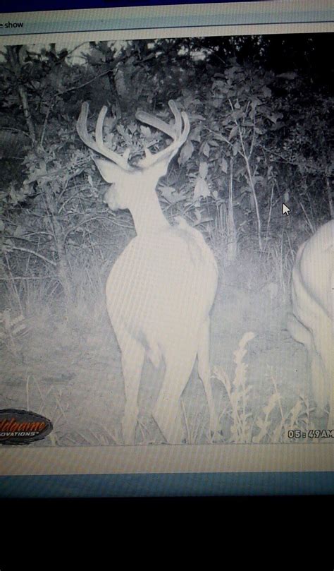 Massive Rack Minerals Added A New Massive Rack Minerals