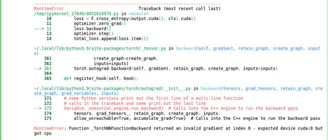 runtimeerror function torchnnfunctionbackward returned an invalid