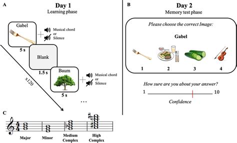 Schematic Illustration Of The Experimental Design A Learning Phase Download Scientific