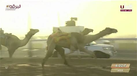 ش6 ملبي لـ محمد جابر حمد الحنزاب مهرجان سمو الأمير المفدى 24 2 2024ص