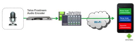 SVM Input Types Svm Cisco DevNet