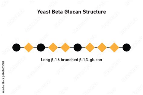Yeast Beta Glucan Molecule Structure Scientific Design Vector Illustration Stock Vector
