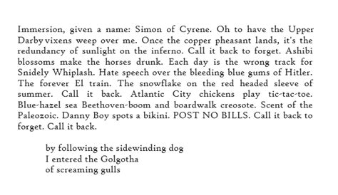Patrick Sweeney Heliosparrow Poetry Journal
