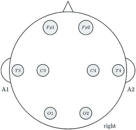Electrode Positions Used In Our Experiments Download Scientific