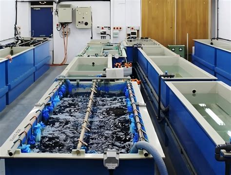 The Ultimate Guide To Electroplating Anodes Trustworthy Factory