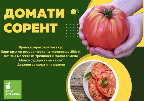 КемиФарм Плюс Chemyfarm Plus