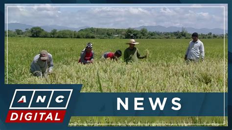 Ilo More Than 58000 Filipinos Excel In Improved Skills Development