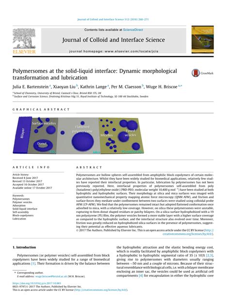 pdf polymersomes at the solid liquid interface dynamic morphological