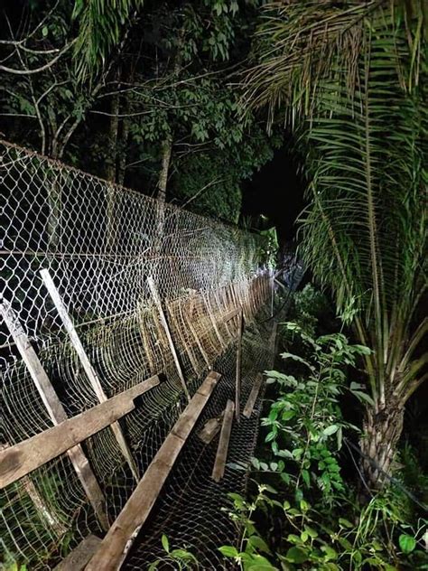 Babes Badly Injured After Suspension Bridge They Gathered On For Internet Collapses