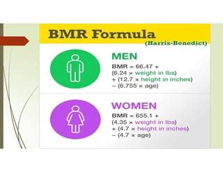 TDM And Drug Dose Calculation Pdf
