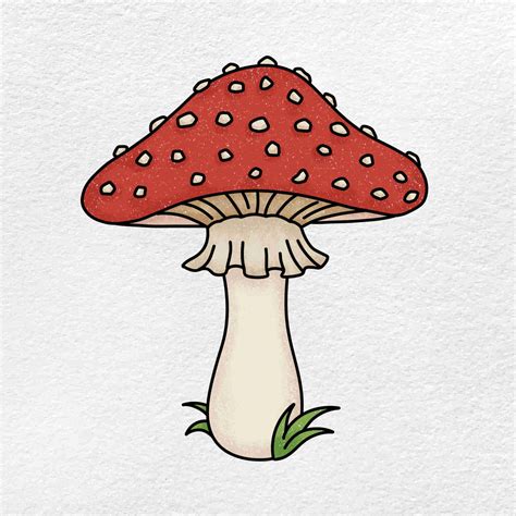 How To Draw A Toadstool Helloartsy
