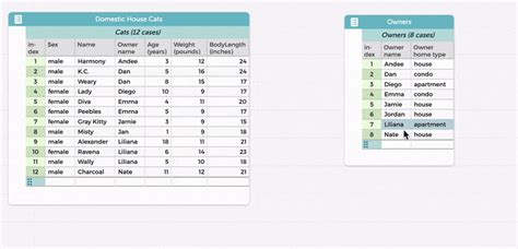 join two tables codap