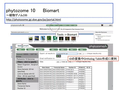 Bioinformatics Resources And Tools Ppt