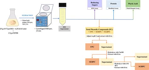 Effect Of Acidityalkalinity Of Deep Eutectic Solvents On The Extraction Profiles Of Phenolics