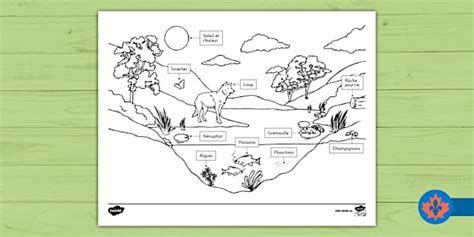 Ecosystems Labelled Colouring Sheet French