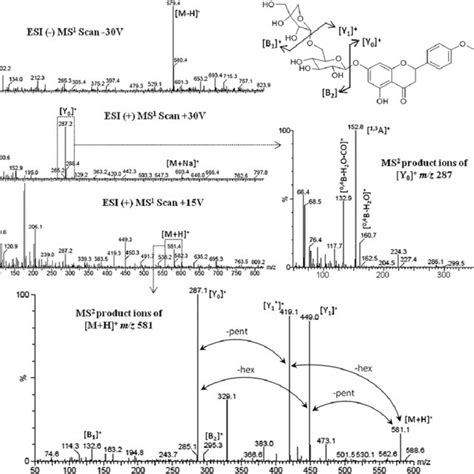 Main Fragmentation Observed For Protonated Flavonoid O Diglycosides And