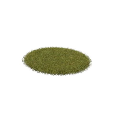 Grass Shape 3d Object 2296738109 Shutterstock