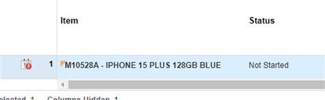 Sales Order Is In Not Started Status Cloud Customer Connect