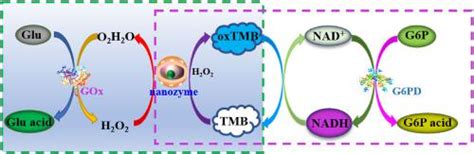 蛋黄壳结构纳米反应器 Au Co3o4 Ceo2 Msio2 具有优异的类过氧化物酶活性作为超灵敏比色生物传感的纳米酶 Talanta X Mol