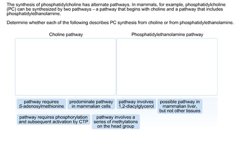 The Synthesis Of Phosphatidylcholine Has Alternate