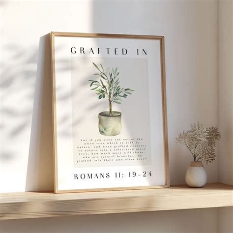 Grafted In Wild Olive Tree Natural Branches Romans 1119 24 Olive Tree