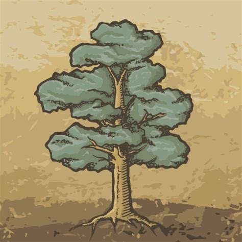 Oak Tree Vector Images Over 59000