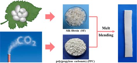 Facile Fabrication Of Shape Memory Ppcsf Blend Download Scientific