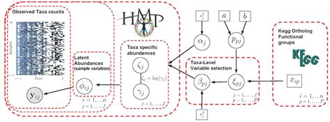 Marina Vannuccis Professional Page