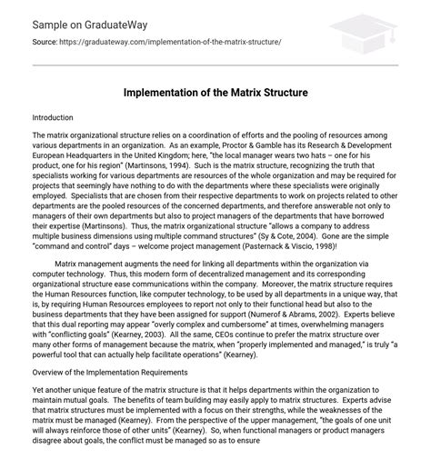 Implementation Of The Matrix Structure Essay Example GraduateWay