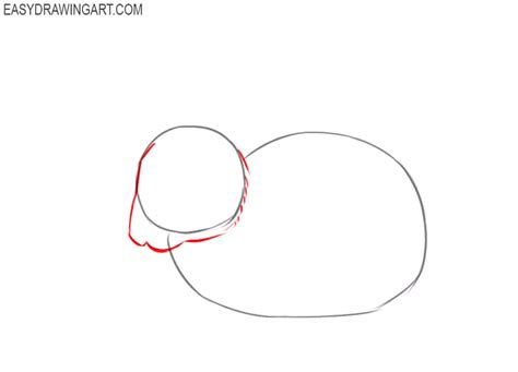 How To Draw A Rabbit Easy Drawing Art