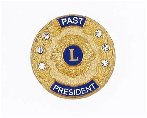 Lions Officer Pins Tej Brothers