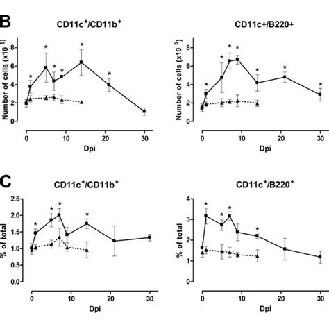 Numbers Of Cdcs And Pdcs In The Lung And The Lung Draining Lymph Nodes Download Scientific