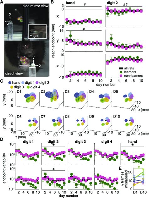 Reach Endpoint Accuracy Improves With Training A X Y And Z Reach