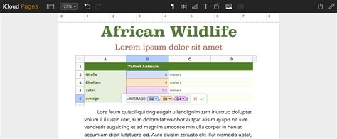 What Are Spreadsheets Databases And Word Processing Programs In From