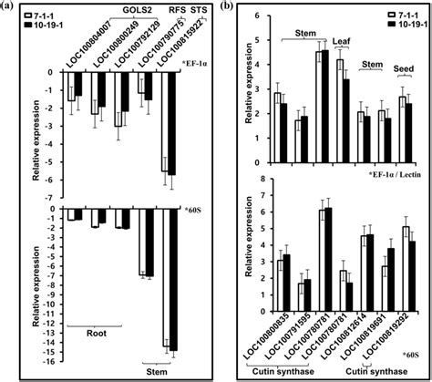 Differentially Expressed Genes In Beta Carotene Enhanced Transgenic