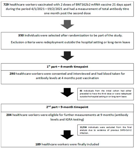 Humoral Immunity Flow Chart