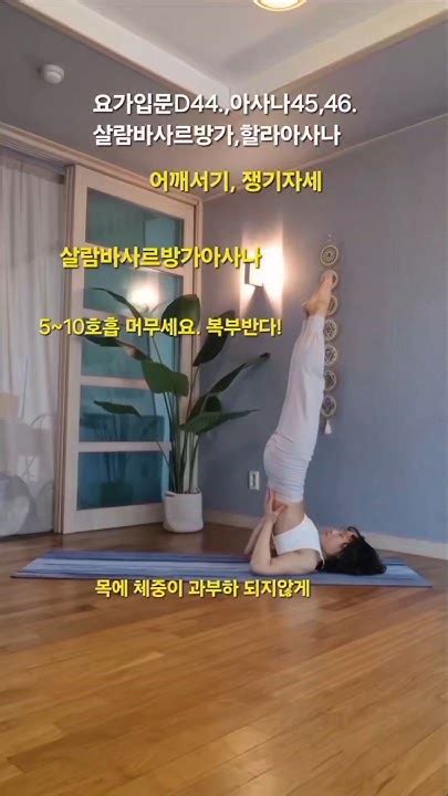 1분기초요가강좌d44어깨서기할라아사나살람바사르방가 Youtube