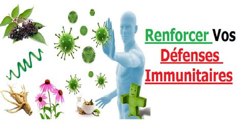 Renforcer Vos Défenses Immunitaires ~ Sport Et Santé