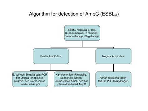 ppt algorithm for detection of classical esbl esbl a powerpoint