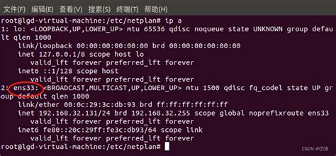 ubuntu18 4版本后配置静态ip netplan设置静态ip csdn博客