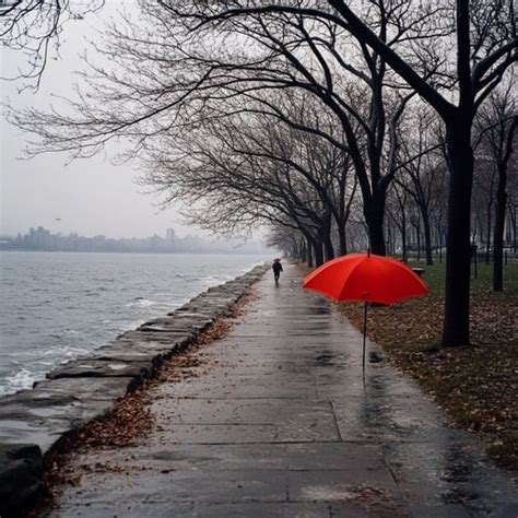 Free Rainy Day Walk Image Download At Stockcake