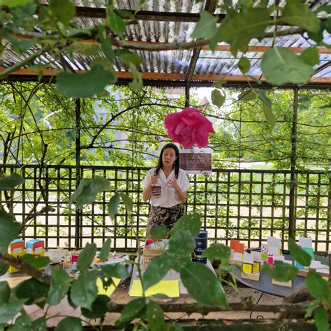 Nos Ateliers Cacao Cacao Lorigine Du Chocolat