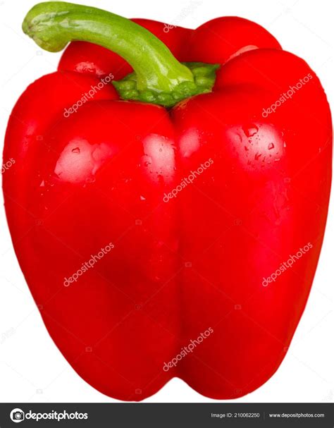Pepper Red Bell Pepper Vegetable Bell Pepper Fruit Capsicum Red — Stock